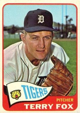 1965 Topps Terry Fox #576 Baseball - VCP Price Guide